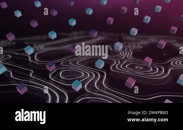 Animation of rows of pink and blue cubes moving in formation in ...