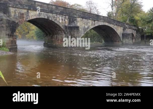 Ribble valley forest Stock Videos & Footage - HD and 4K Video Clips - Alamy