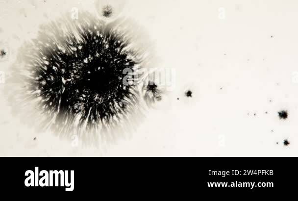 Oil spot isolated on Stock Videos & Footage - HD and 4K Video Clips - Alamy