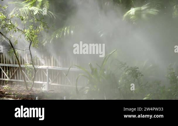 Humid Stock Videos & Footage - HD and 4K Video Clips - Alamy