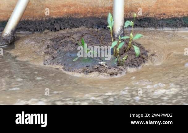 Biogas bubble Stock Videos & Footage - HD and 4K Video Clips - Alamy