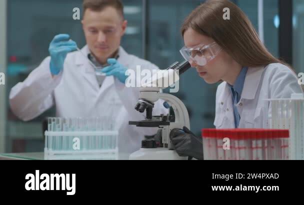 two scientists are exploring biological samples in medical laboratory ...
