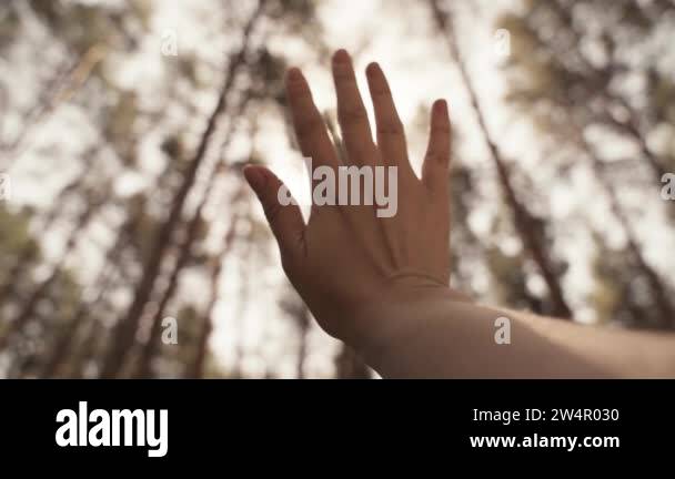 A mans hand in the rays of the sun reaches for the sky, time to dream ...