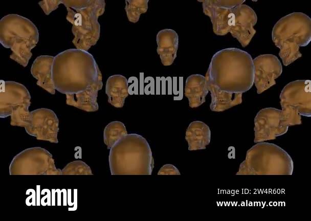 Multiple human skulls facing each other in golden and black colour 3D ...