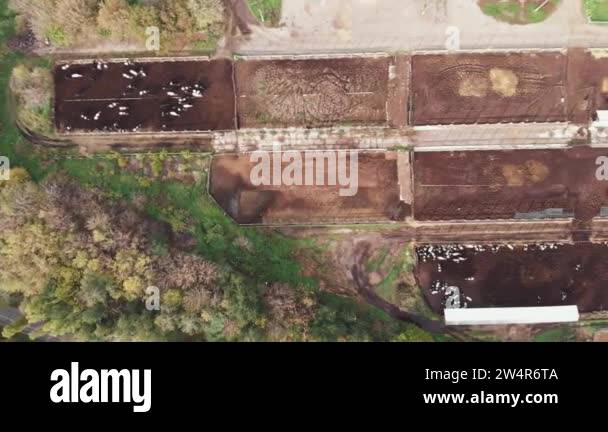 Large farm area with facilities including vast fields and cattle barns ...