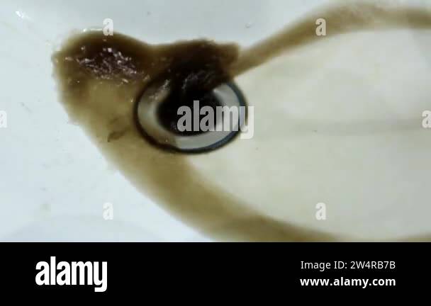 rusty and dirty water flows from the faucet into the sink. Purification ...