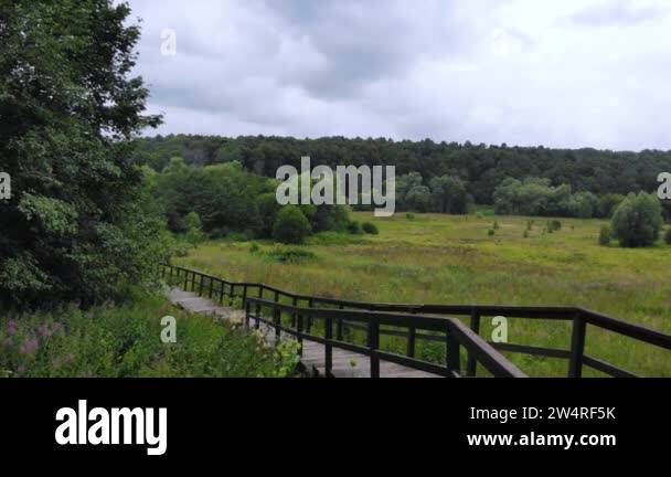 National park, bird view. 4k Stock Video Footage - Alamy