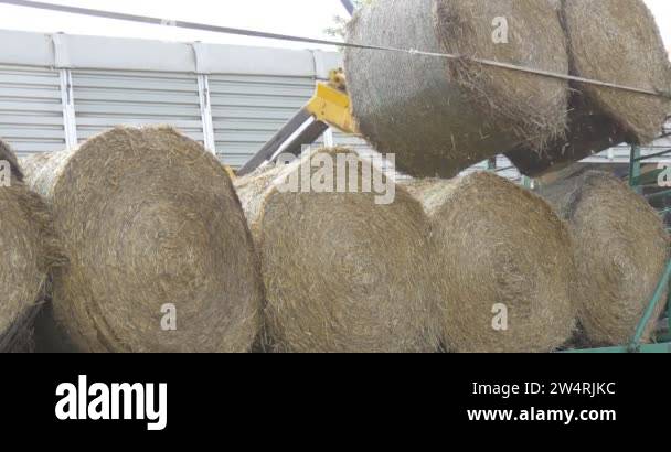 Loader tractors Stock Videos & Footage - HD and 4K Video Clips - Alamy