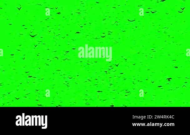 A flock of flying birds forms the grave crosses, green screen Stock ...