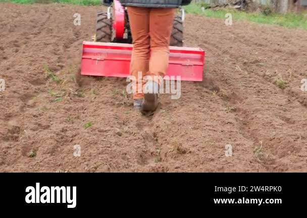 Processing a farm field with a walk behind tractor. Land cultivation ...