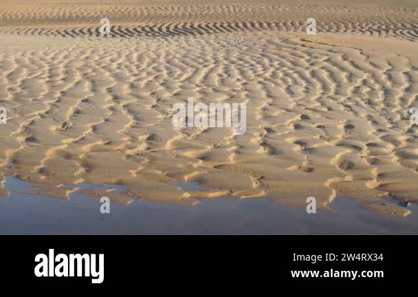 Tide marks beach Stock Videos & Footage - HD and 4K Video Clips - Alamy