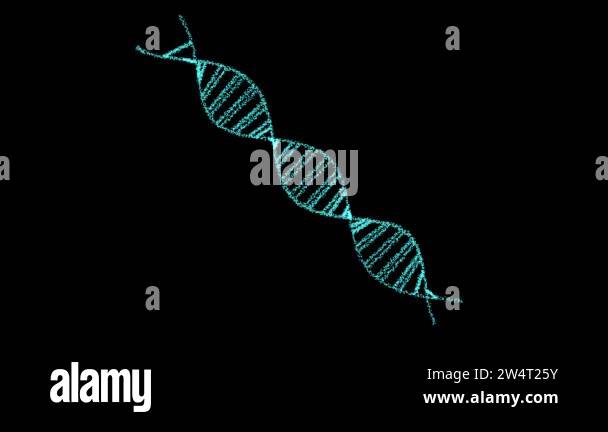 DNA digital structure science biotechnology animation 3D rotate Stock ...