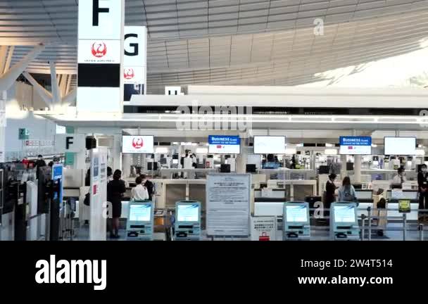 Terminal 3 check in Stock Videos & Footage - HD and 4K Video Clips - Alamy