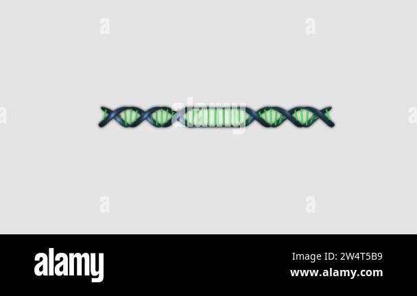 Restriction enzyme and dna Stock Videos & Footage - HD and 4K Video ...