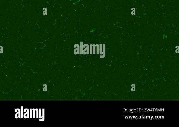 Green background with noise and dust particles. Animation. Effect of ...