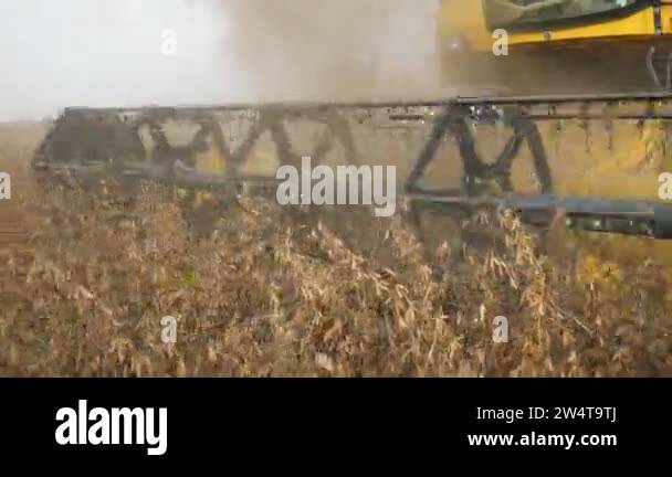 Modern combine harvester rakes circling and cutting soybeans spikes on ...