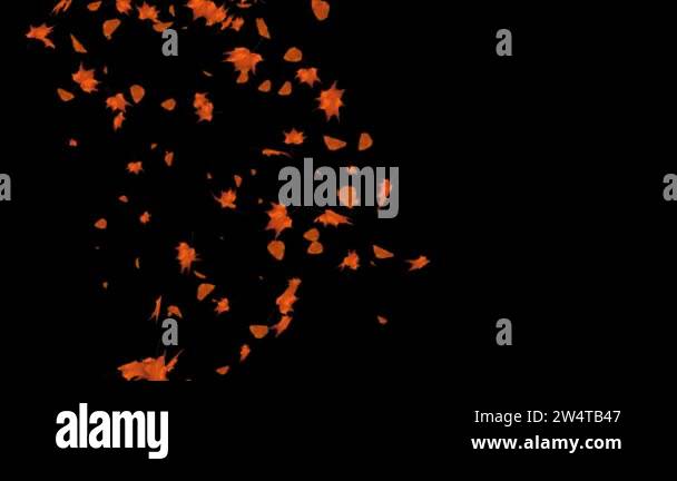 Leaf fall animation with wind. Autumn maple, leaves falling loop 4k ...