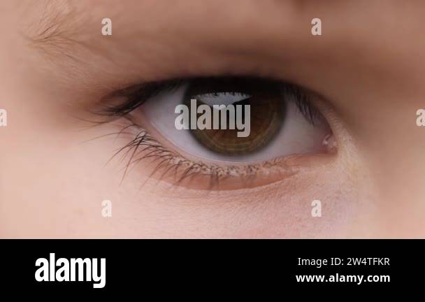 Eye of Child Looking the Camera. Extreme Close-Up. Stare at something ...