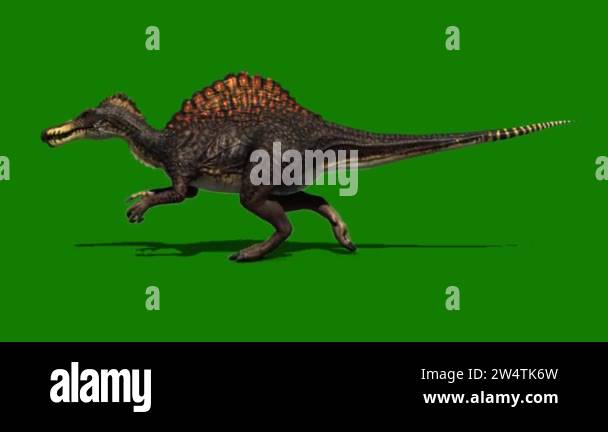 Dinosaur dinosaurs dino spinosaurus Stock Videos & Footage - HD and 4K ...