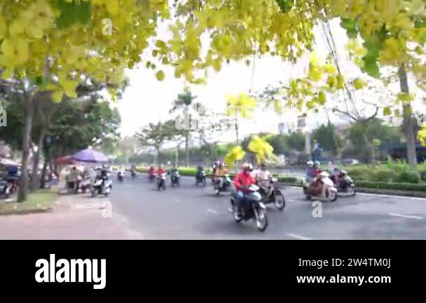 Laburnum street Stock Videos & Footage - HD and 4K Video Clips - Alamy