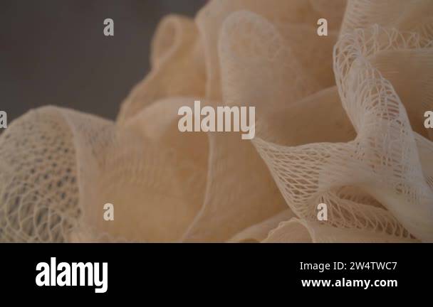 Netting skin texture Stock Videos & Footage - HD and 4K Video Clips - Alamy