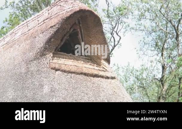 Heritage hut national park Stock Videos & Footage - HD and 4K Video ...