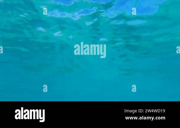 light-blue water surface (underwater view). Natural background with sun ...