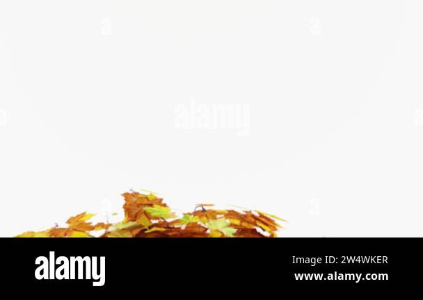 Cornucopia - Horn of plenty animation. 4K 3D animation of a bountiful ...