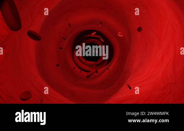 Dried blood medical animation. Red cells motion in an artery seamless ...