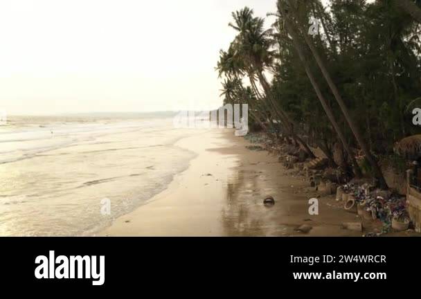 Paradise garbage Stock Videos & Footage - HD and 4K Video Clips - Alamy