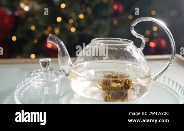 Green Chinese tea flower bud blooming in glass teapot with Christmas ...
