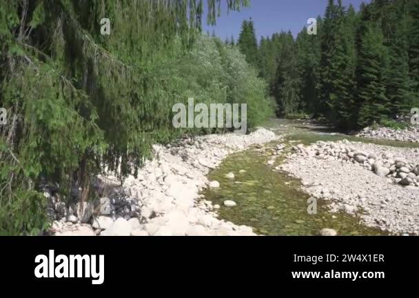 Channel shallow forest river Stock Videos & Footage - HD and 4K Video ...