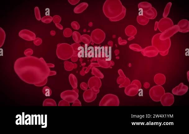 Red blood cells and particles flowing inside a human body Motion ...