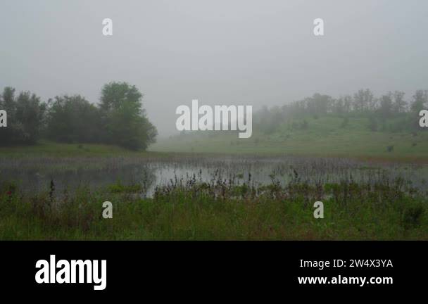 Morning fog rises above the surface of the pond. A quiet and peaceful ...