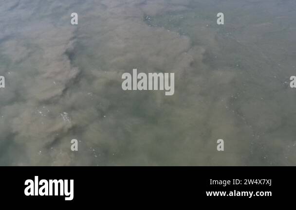 Dirty water stream, dangerous whirlpool. Drain sewage, muddy flow as ...