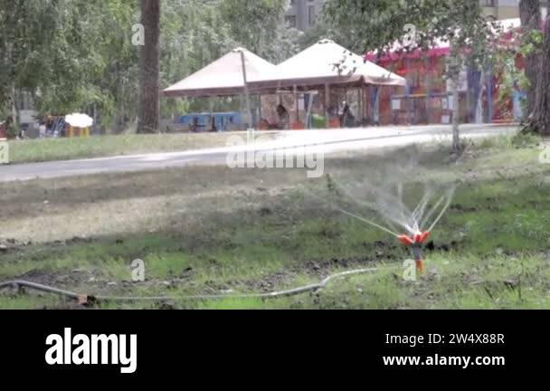 Lawn irrigation system working in a green park. Spraying the lawn with ...