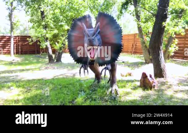Animated model of an ancient dinosaur. Dilophosaurus full-length. An ...