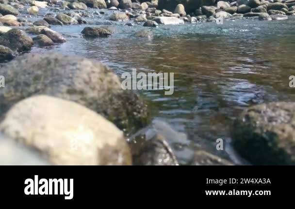 The flow of water is calm in a river with abundant water. a stream of ...