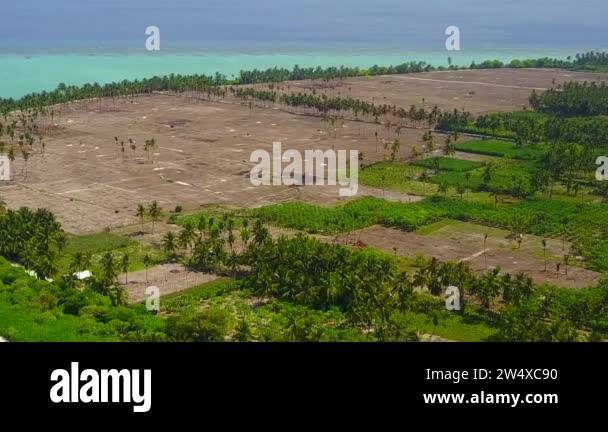 Warm texture idyllic island beach Stock Videos & Footage - HD and 4K ...