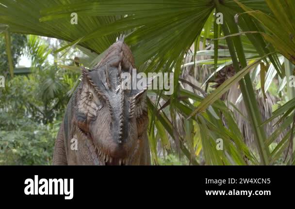 Dinosaur megalosaurus Stock Videos & Footage - HD and 4K Video Clips - Alamy