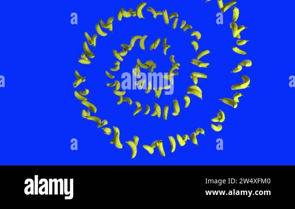 Banana fruit flying in a helix shape, upper view, seamless loop, Blue ...