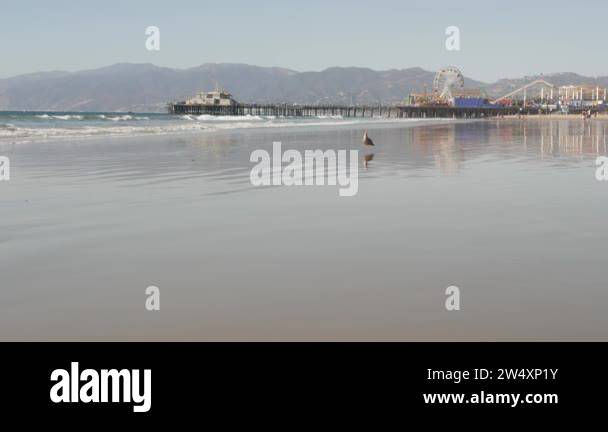 Ocean waves and sandy california beach, classic ferris wheel in ...