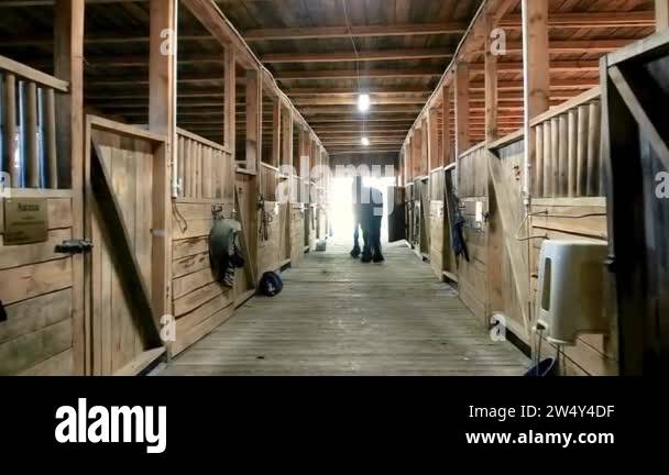 Inside the stables of a horse farm with horses sticking out of stalls ...