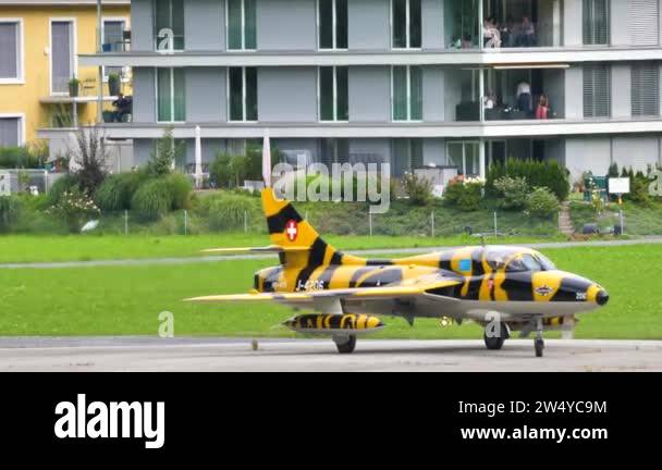 Tiger training Stock Videos & Footage - HD and 4K Video Clips - Alamy