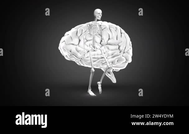 Human skeleton against black background Stock Videos & Footage - HD and ...
