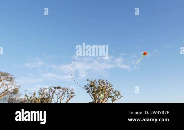 Colorful kite flying in blue sky over trees in Embarcadero Marina park ...