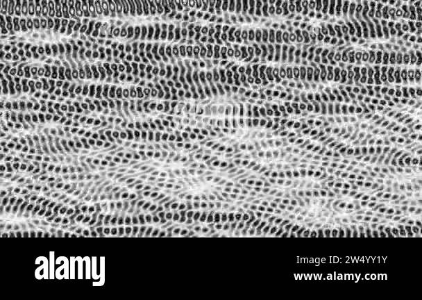 Wave collapses Stock Videos & Footage - HD and 4K Video Clips - Alamy