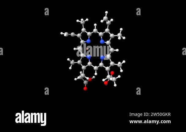 Myoglobin structure Stock Videos & Footage - HD and 4K Video Clips - Alamy
