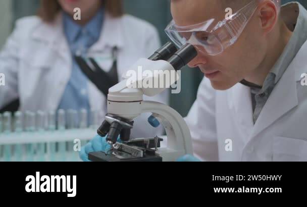 Microscope looking bacteria Stock Videos & Footage - HD and 4K Video ...