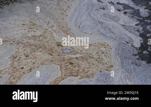 Dirty dark green water with foam from a sewage treatment plant, close ...